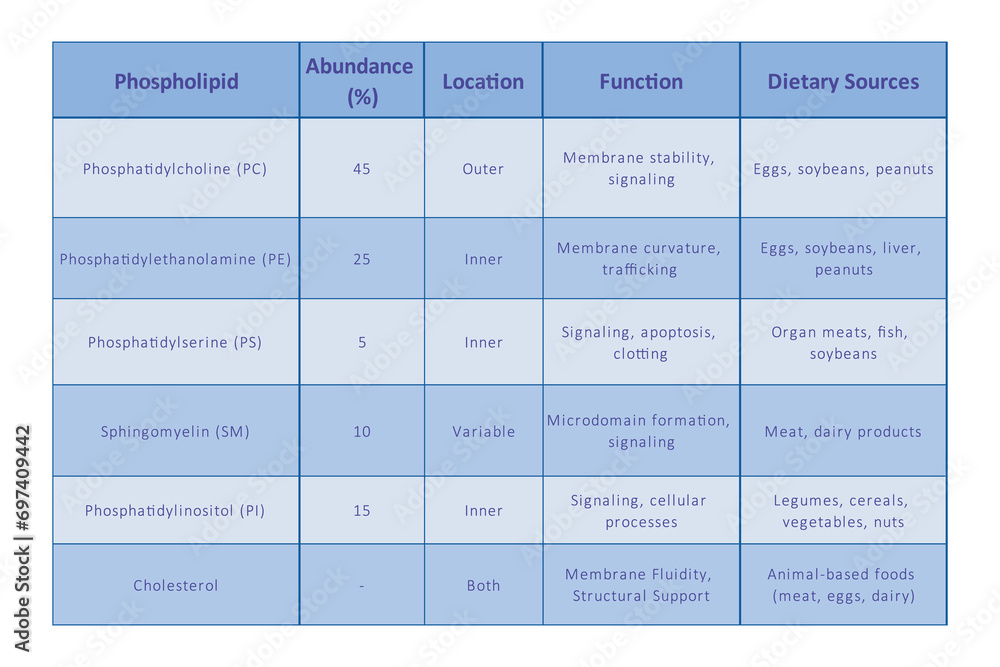 Table showing Phospholipids types, membrane abundance, location ...