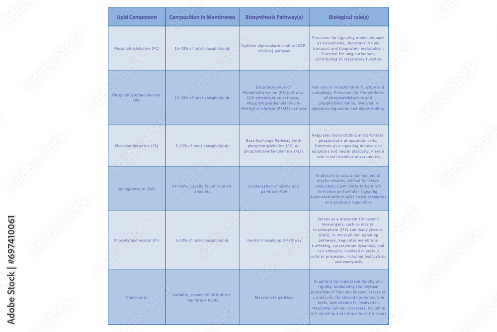 Table showing Phospholipids types, membrane composition, biosynthesis ...