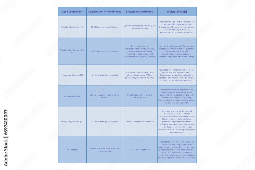 Table showing Phospholipids types, biosynthesis pathways and biological ...