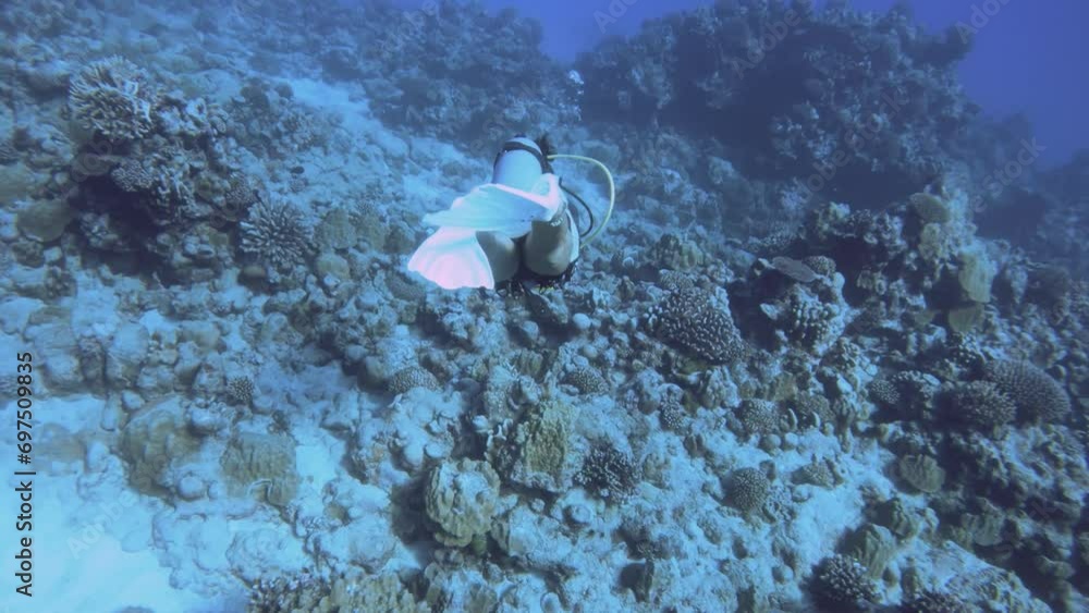 slow motion back behind view of a female woman diver wearing half wet ...