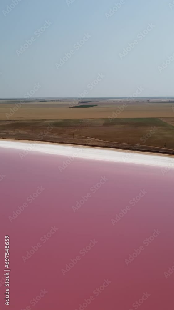 Aerial view of pink salt lake. Salt production facilities in saline ...