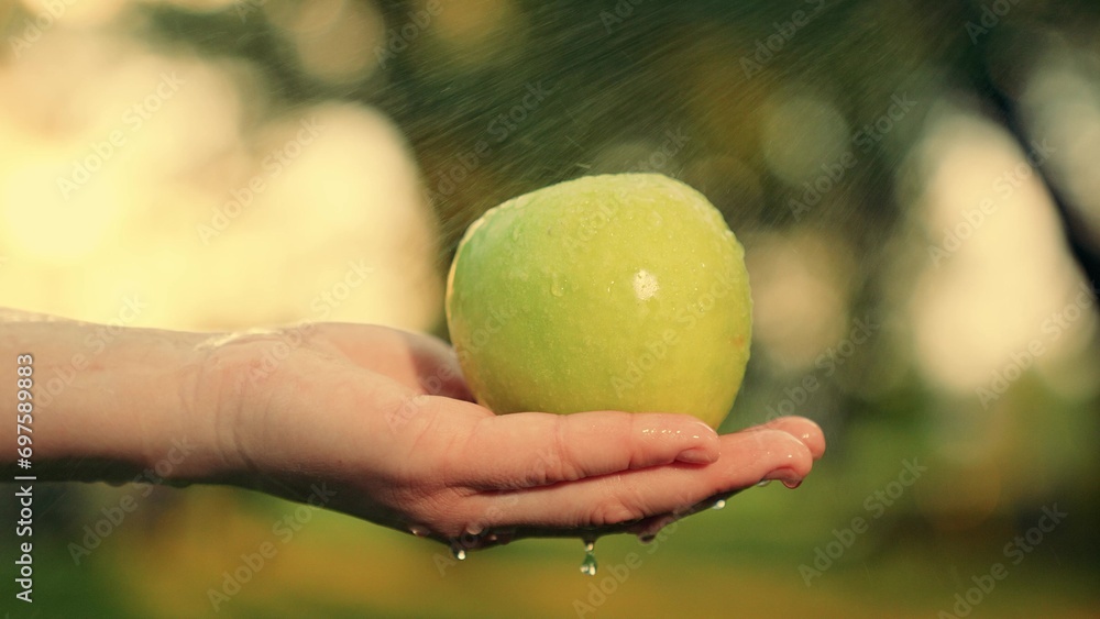 Ripe juicy apple in palm in hand close-up. Wet green apple on hand ...