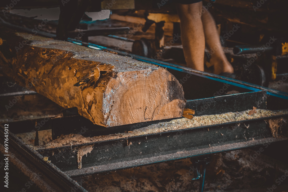Sawmill. Process of machining logs in equipment sawmill machine saw ...