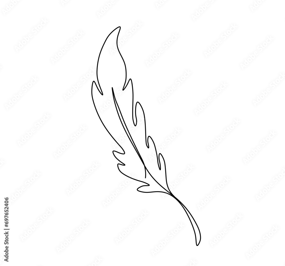 Vector isolated simple bird feather one single line drawing colorless ...
