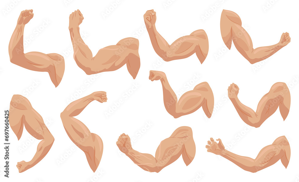 Male biceps muscles icons set. Sportsman arm with strong biceps. symbol ...