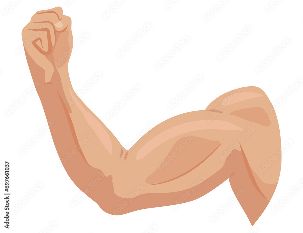 Male biceps muscles icons set. Sportsman arm with strong biceps. symbol ...