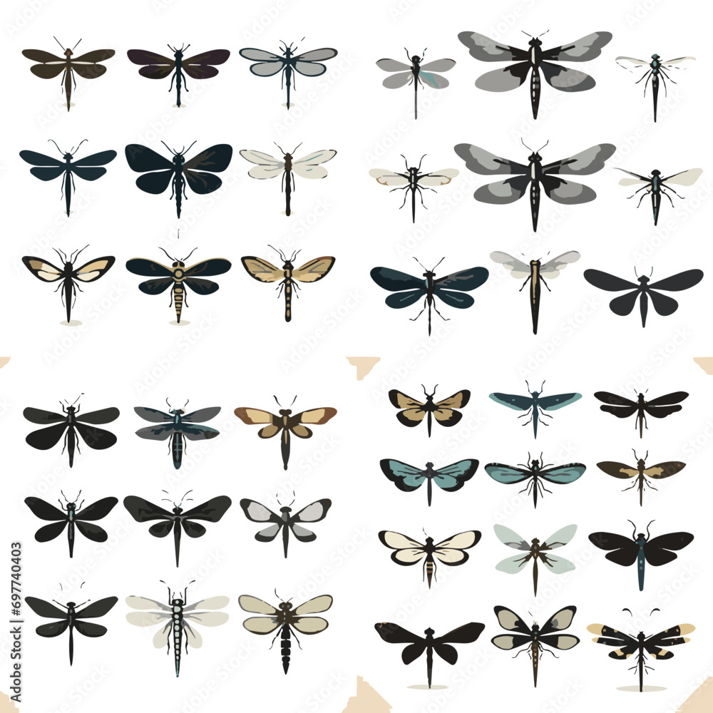 insect, vector, spider, silhouette, bug, illustration, ant, nature, fly ...