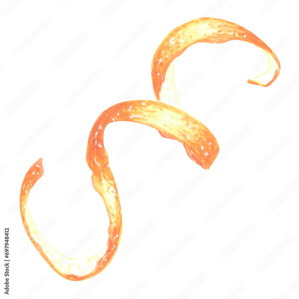 Orange peel watercolor. Citrus skin spiral isolated Hand drawn ...