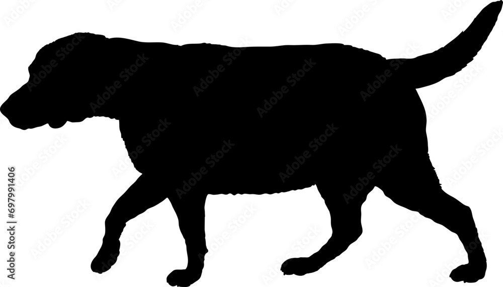 Dog Fat labrador. silhouette Breeds Bundle Dogs on the move. Dogs in ...
