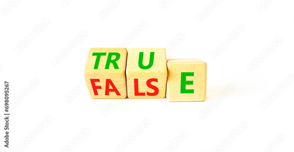 False or true symbol. Turned wooden cubes and changed the word false to ...
