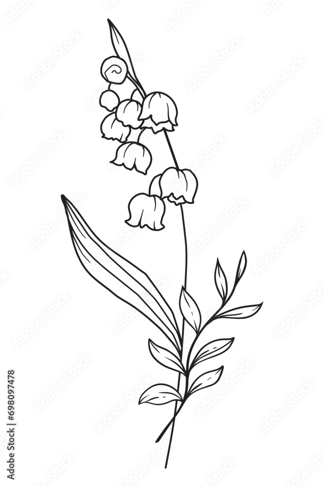 Lily Of the Valley Line Art. Lily Of the Valley outline Illustration. May Birth Month Flower ...