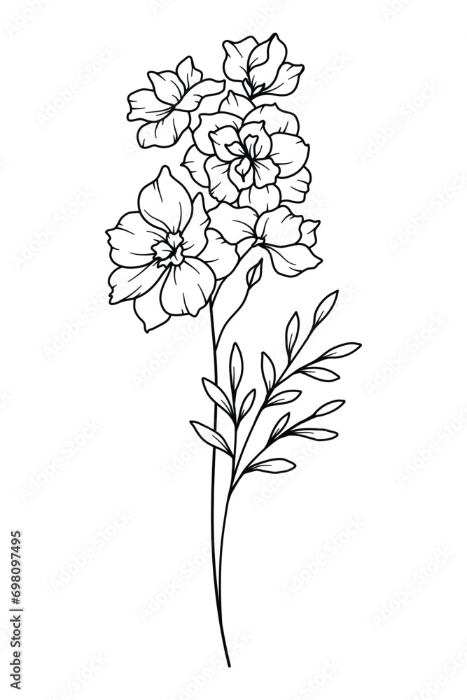 Larkspur Line Art. Delphinium outline Illustration. July Birth Month ...