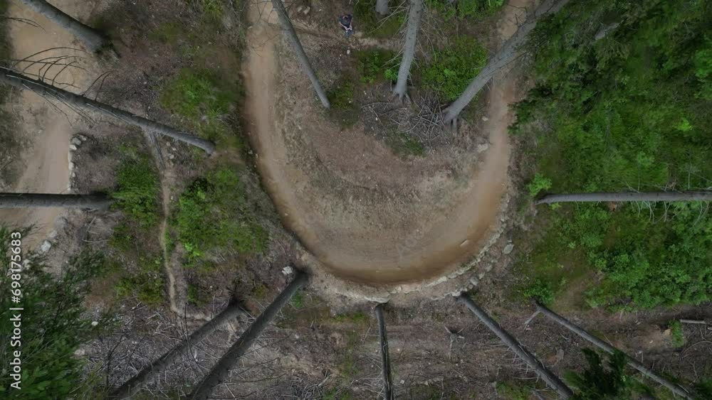 forest in which there is a track for bicycles trail tilted bends one ...