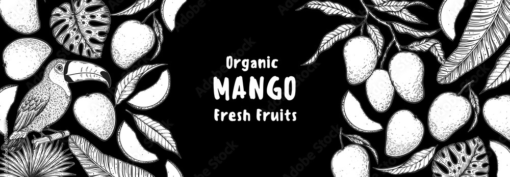 Ripe mango and toucan bird sketch. Hand drawn vector illustration ...