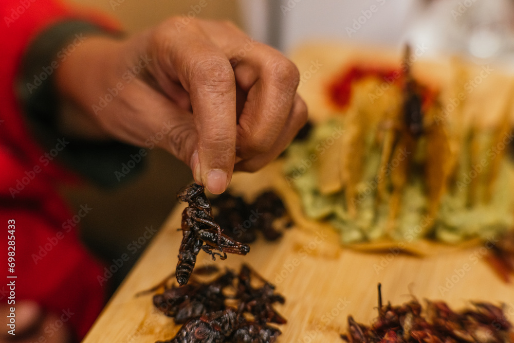 Delicious insect board with guacamole and toast, with grasshoppers ...