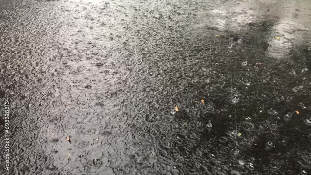 Vidéo Stock Splashes of rain hit the entire asphalt surface, heavy rain ...
