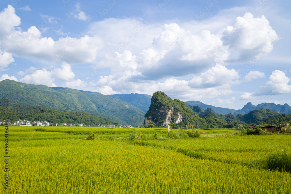 The green rice fields in the middle of forests and karst mountain peaks ...
