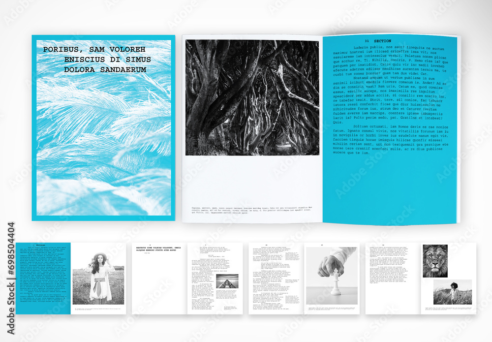 Modern Monochrome Brochure Stock Template | Adobe Stock