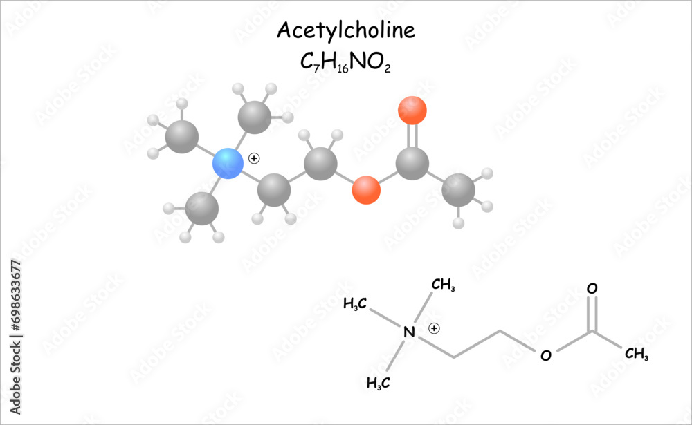Stylized Molecule Model Structural Formula Of Acetylcholine Stock Vector Adobe Stock