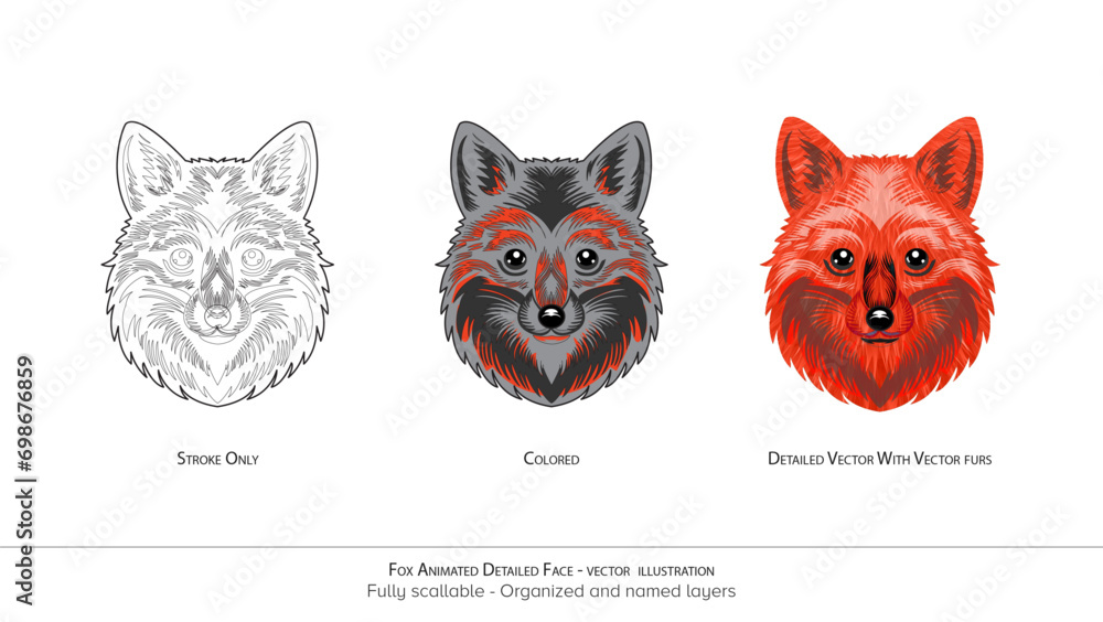 Fox Face Vector Illustration. Vector Illustration - realistic animal ...