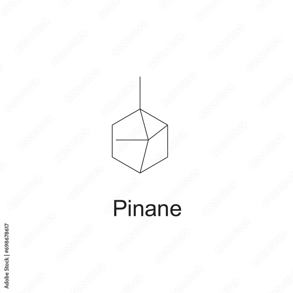 Pinane skeletal structure diagram.Monoterpene ketone compound molecule ...