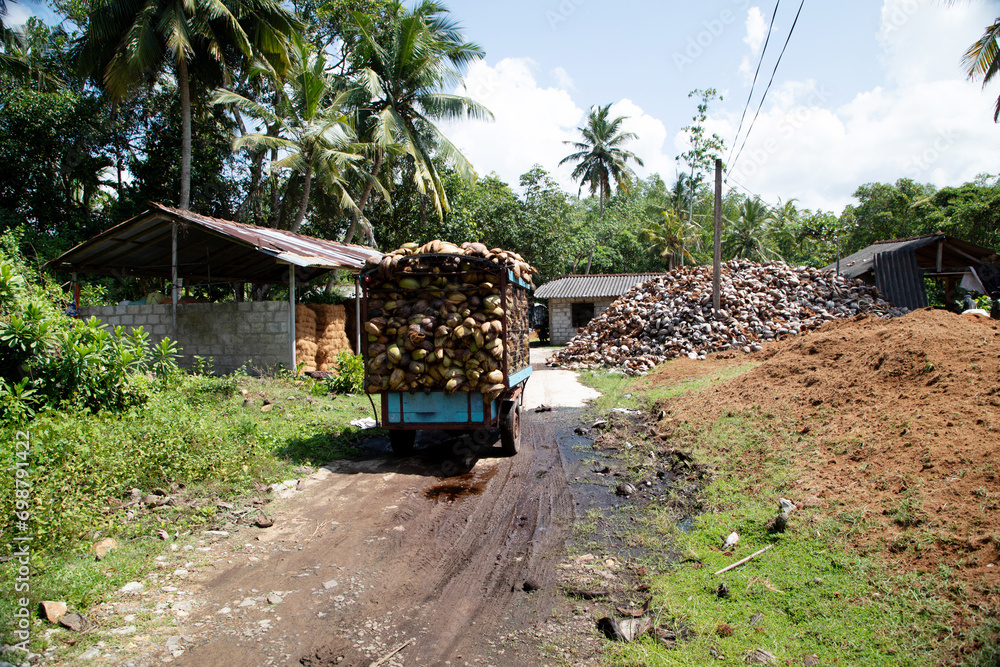 coconut coir rope making with traditional process Stock Photo | Adobe Stock