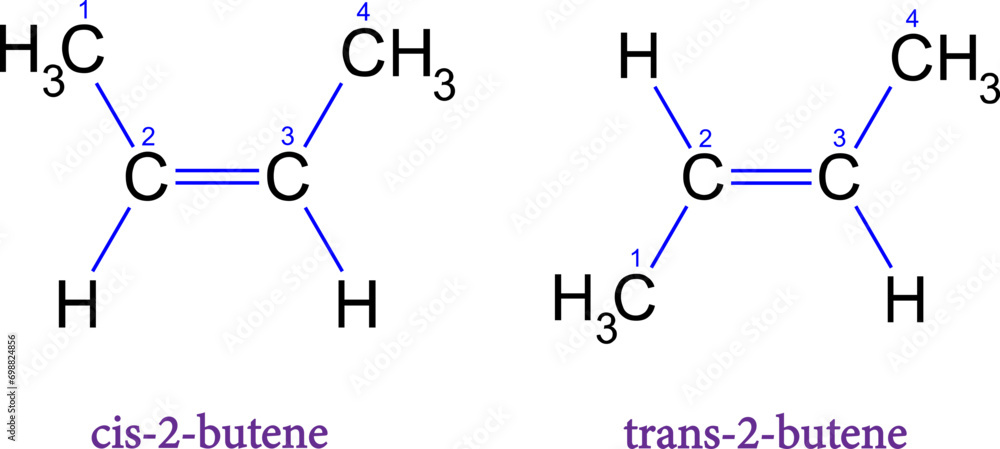 chemical structure of cis trans isomers .Vector illustration. Stock ...