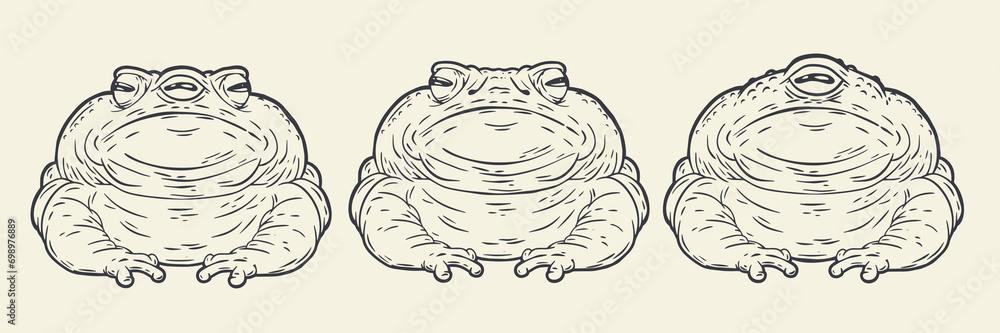 Set hand drawn outline silhouettes toads with one, two and three eyes ...