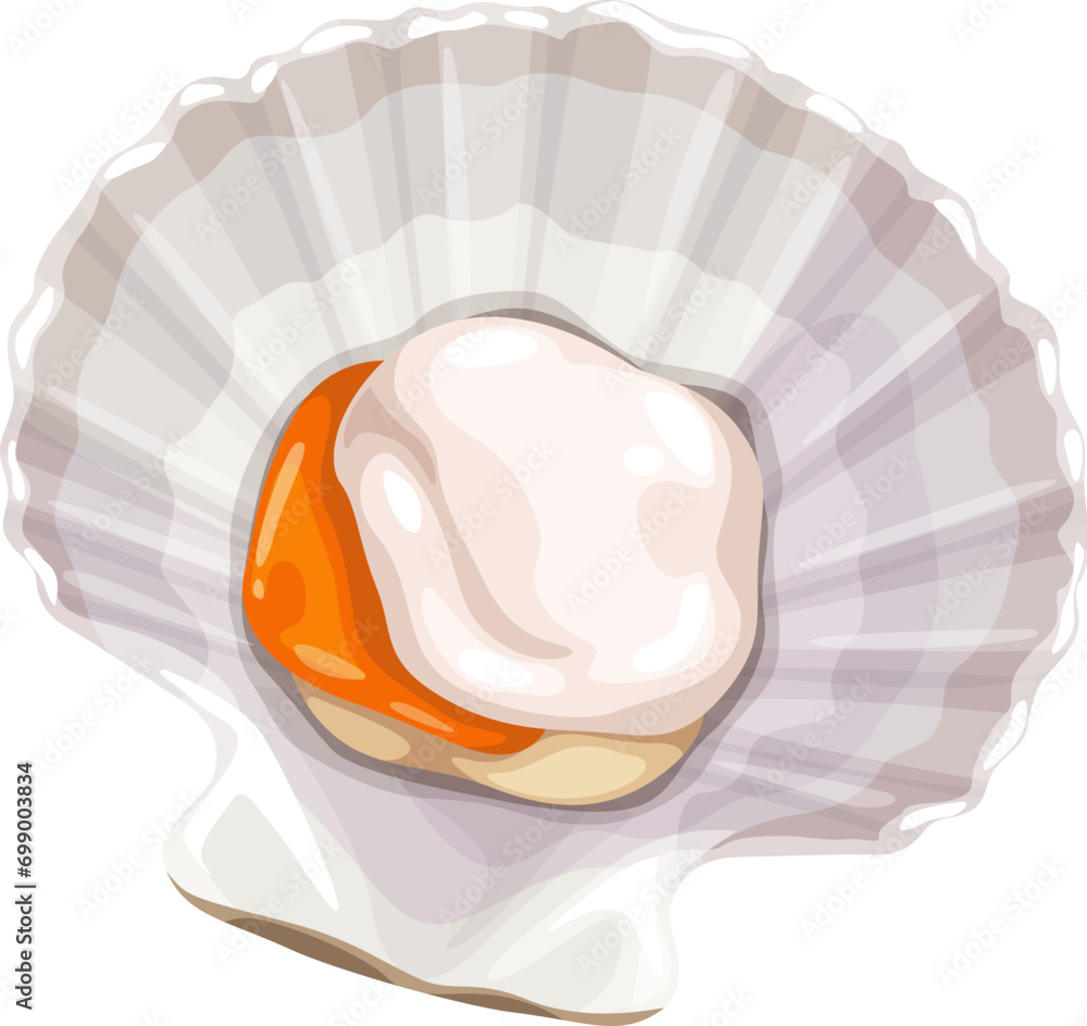 Cartoon seafood, scallop mollusk for sea food cuisine delicatessen ...