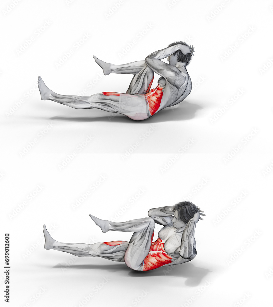 007 Air Bike. 3D Anatomy of fitness and bodybuilding. An outstanding ...