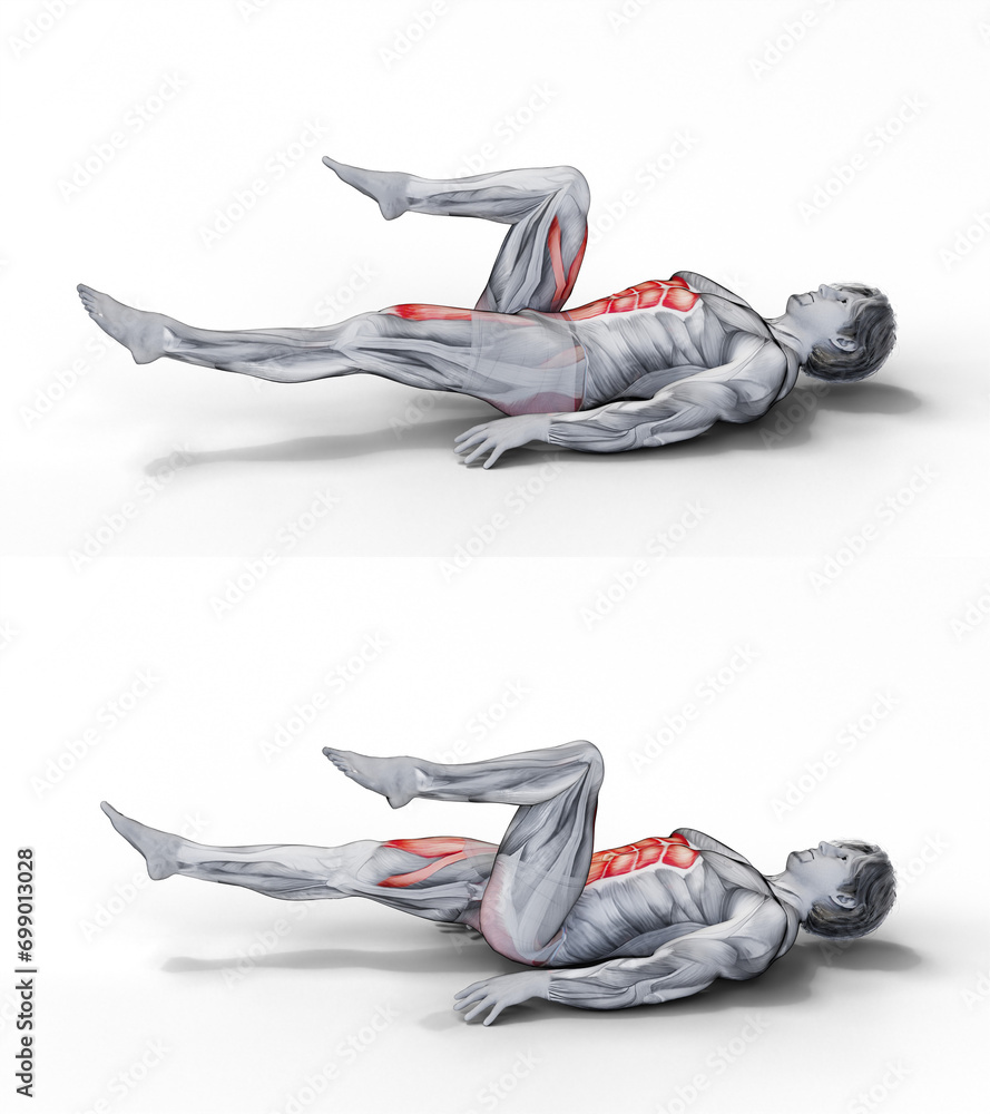 Ilustracja Stock: 030 Lying Alternate Bent Leg Raise. 3D Anatomy of ...