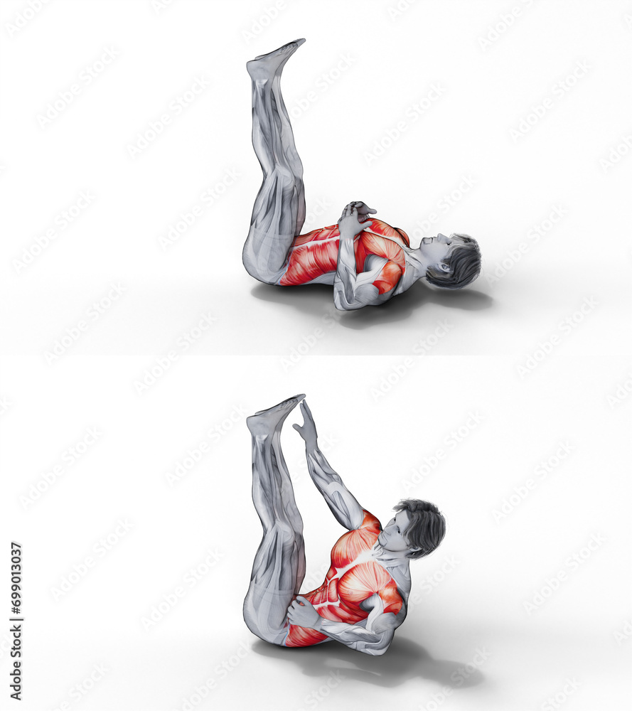 032 Straight Leg Toe Touch. 3D Anatomy of fitness and bodybuilding. An outstanding display of ...