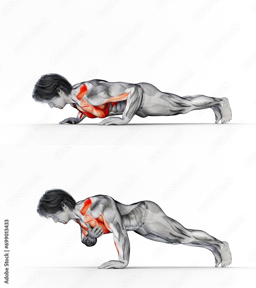 046 Shoulder Tap Push-up Plyometrics. 3D Anatomy of fitness and ...