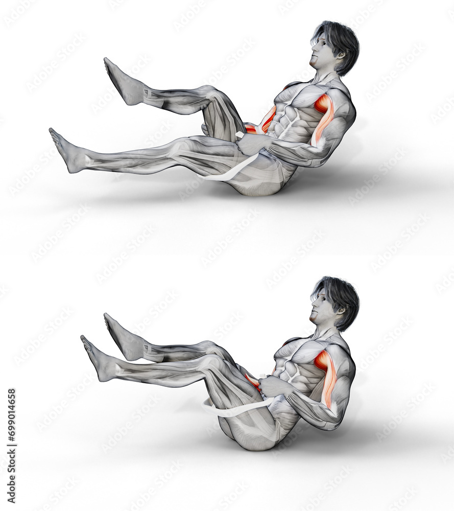 094 Two Legs Hammer Curl with Towel. 3D Anatomy of fitness and ...