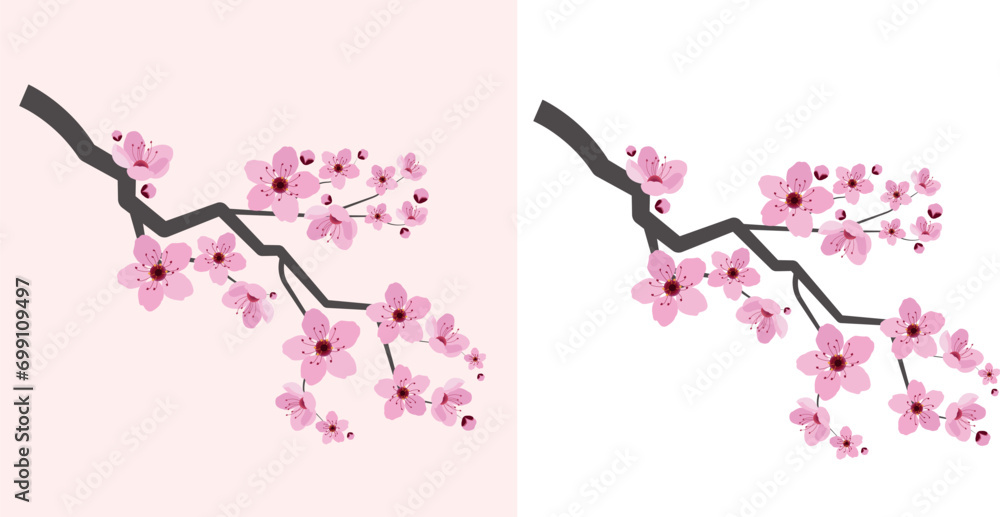 vector illustration of japanese blooming sakura isolated on transparent ...