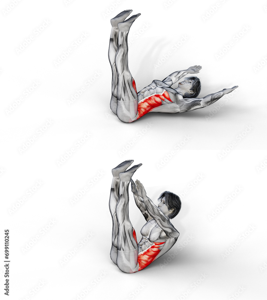 108 V-up Double Crunch. 3D Anatomy of fitness and bodybuilding. An ...