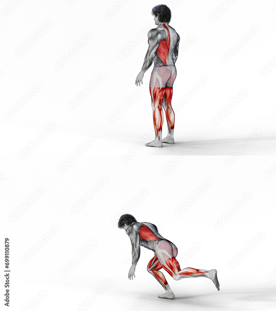 127 Bodyweight Single Leg Deadlift. 3D Anatomy of fitness and ...
