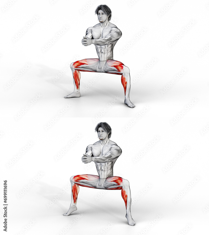 154 Tip Toe. 3D Anatomy of fitness and bodybuilding. An outstanding ...