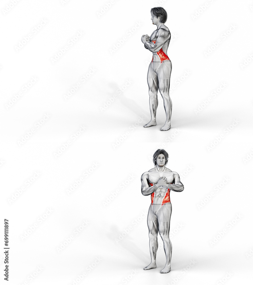 160 Standing Back Rotation Stretch. 3D Anatomy of fitness and ...