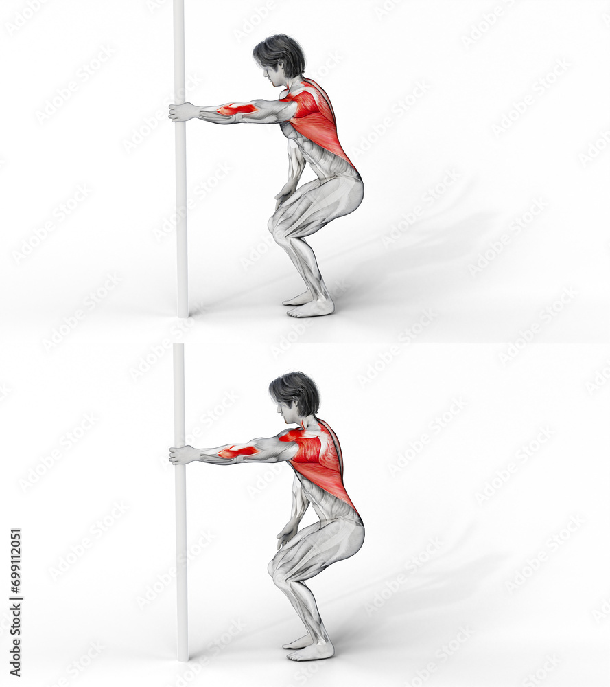 164 Fixed Bar Back Stretch. 3D Anatomy of fitness and bodybuilding. An ...