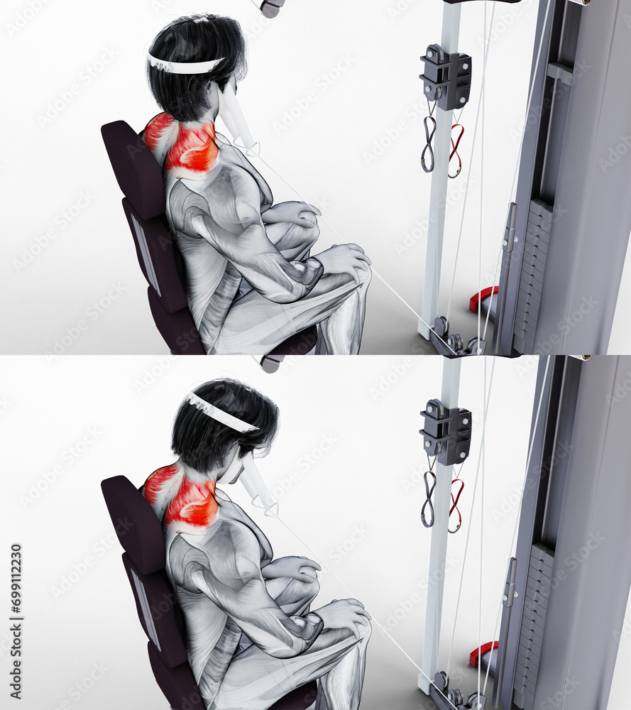 171 Cable Seated Neck Extension. 3D Anatomy of fitness and bodybuilding ...