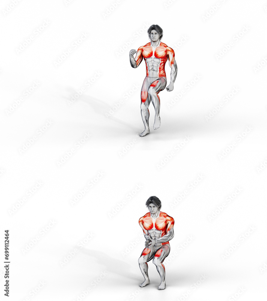 178 Run + Squat. 3D Anatomy of fitness and bodybuilding. An outstanding ...