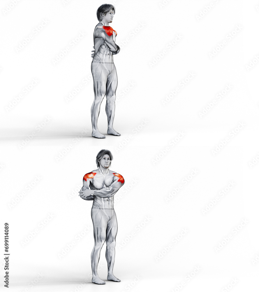 213 Shoulders Stretch Variation Three. 3D Anatomy of fitness and ...