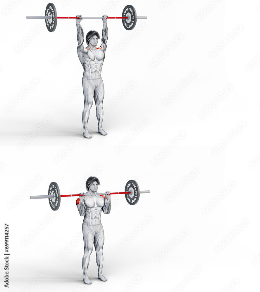 217 Shoulders- Barbell Overhead Press. 3D Anatomy of fitness and ...