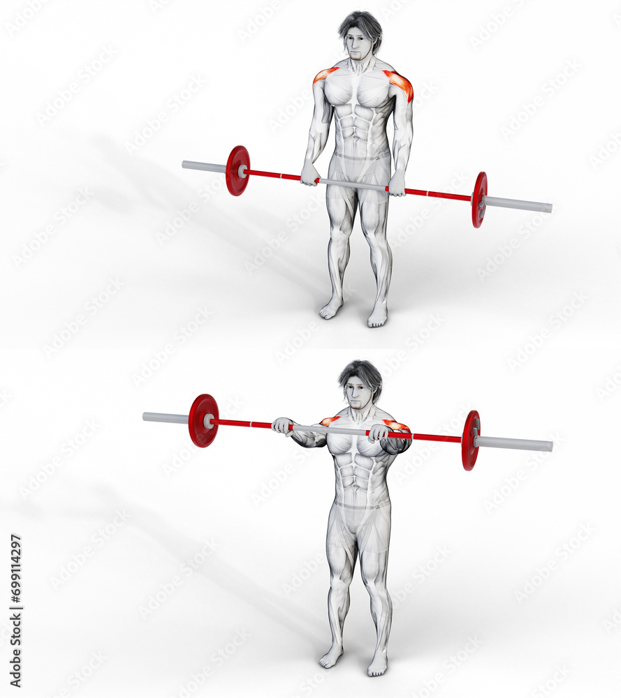 218 Shoulders- Barbell Front Raise. 3D Anatomy of fitness and ...