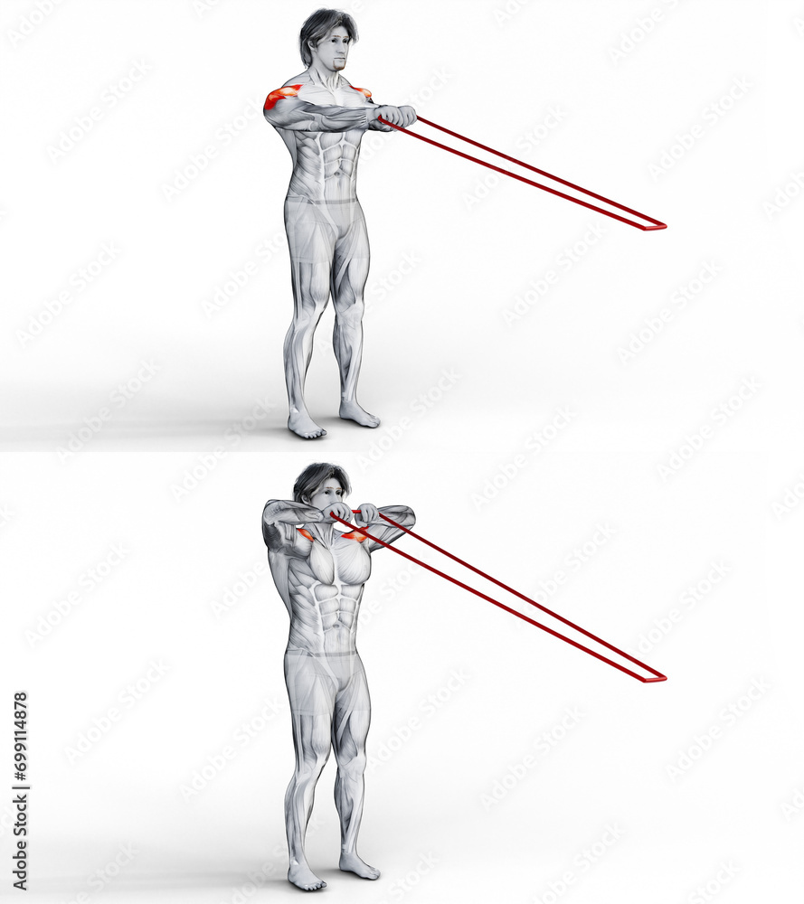 235 Shoulders- Band Face Pull. 3D Anatomy of fitness and bodybuilding ...