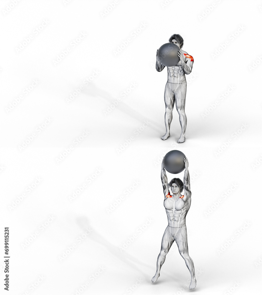 248 Shoulders- Medicine Ball - Press Jack. 3D Anatomy of fitness and ...