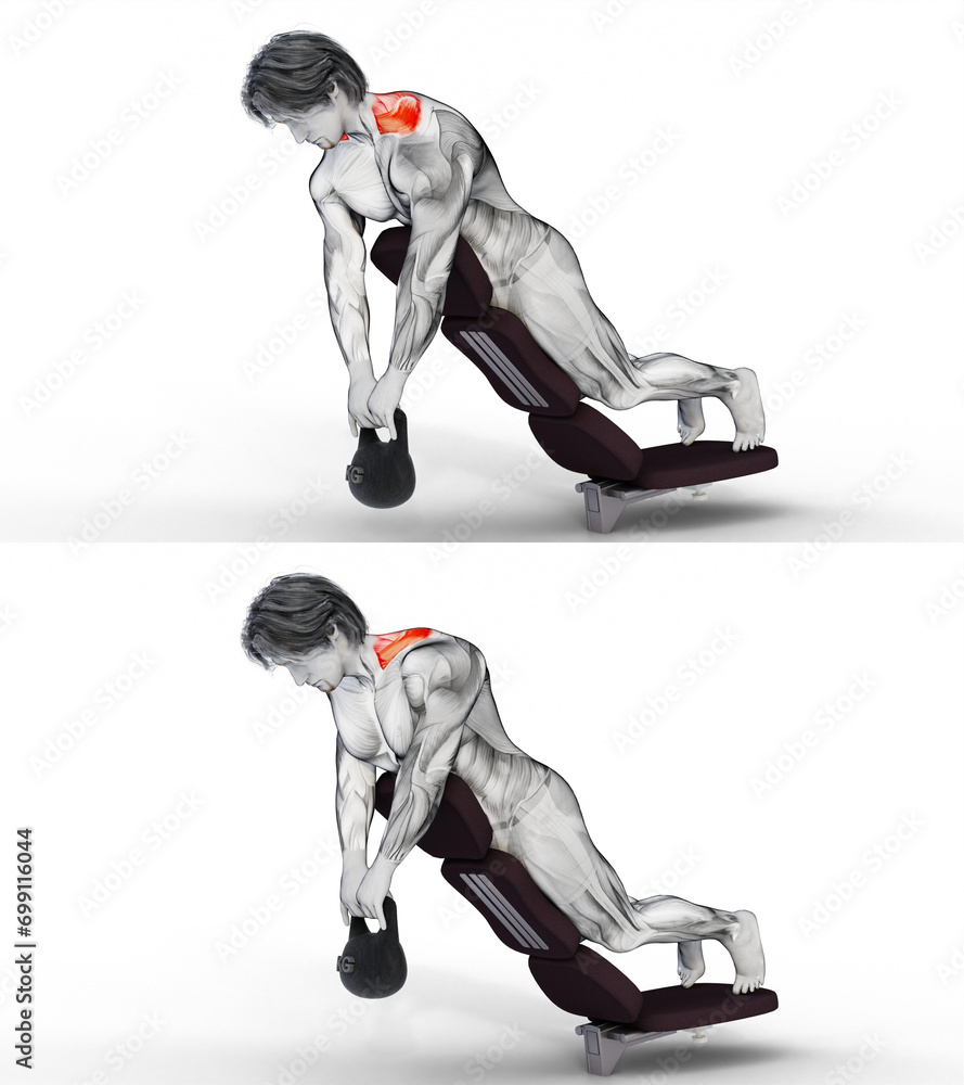 270 Traps - Kettlebell Incline Shrug. 3D Anatomy of fitness and ...