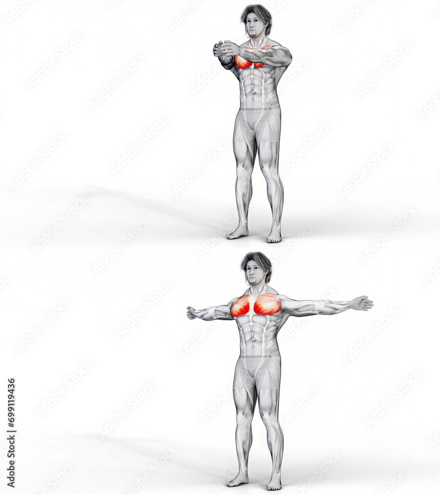 331 Chest Stretch Variation Four. 3D Anatomy of fitness and ...