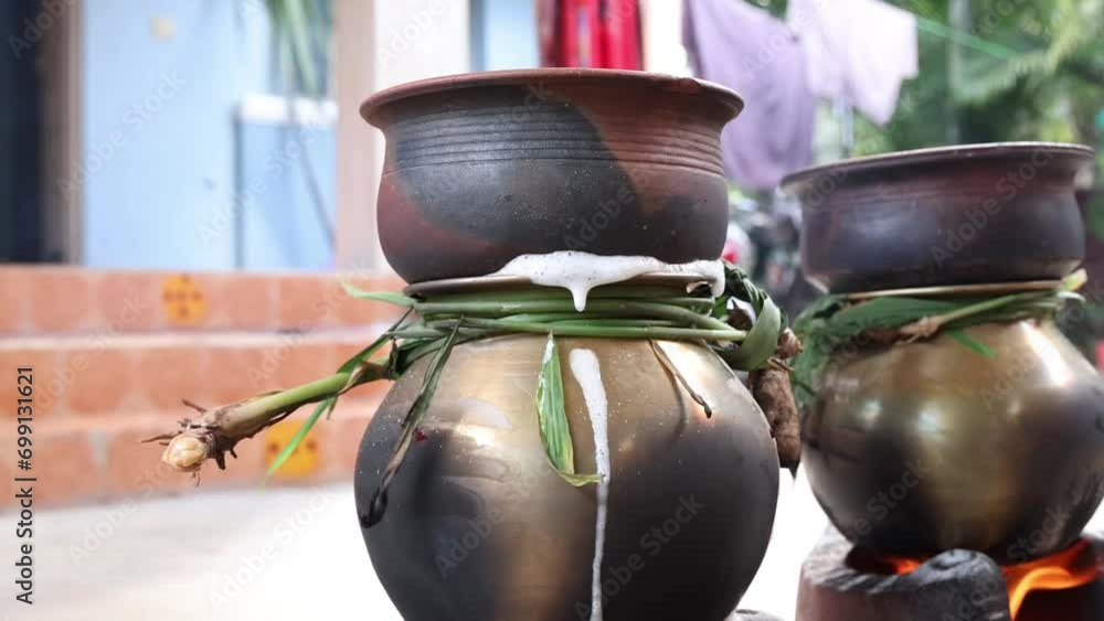 celebrating Traditional Thai Pongal festival to sun god with pot, lamp ...